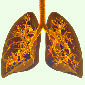 Clear Lung Supplements | Betterbrand