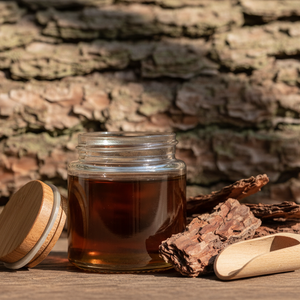 Pine Bark Extract: Lung Health Benefits You Need to Know | Betterbrand